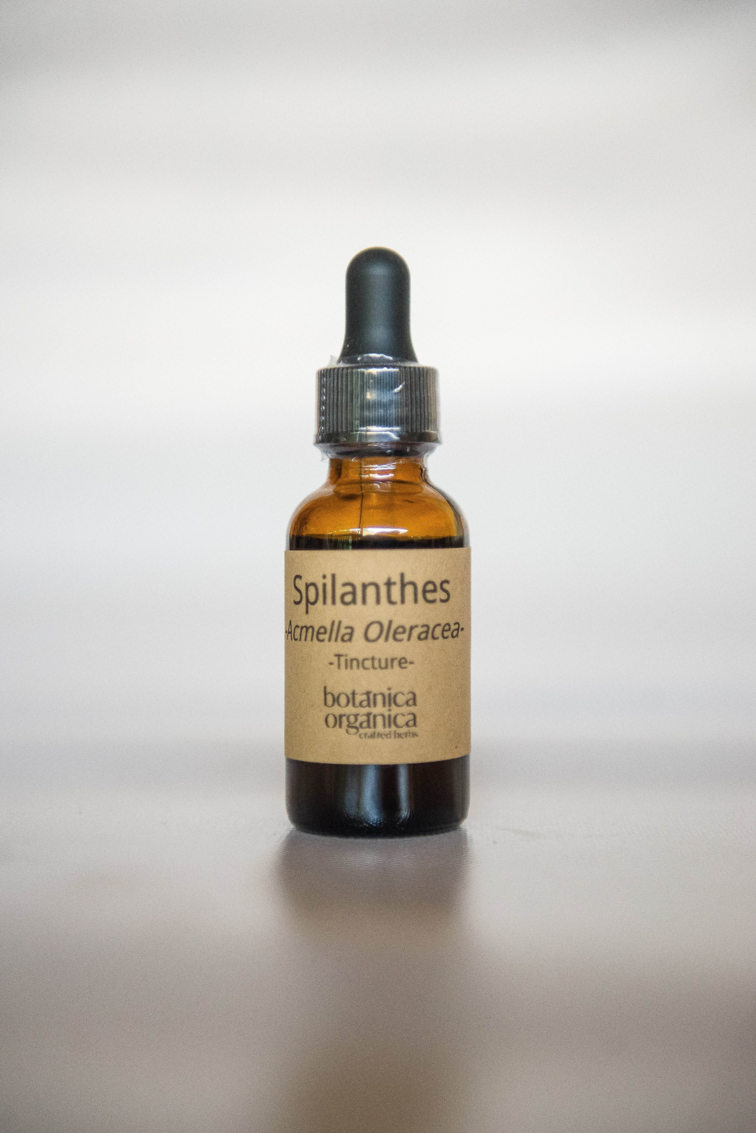Spilanthes Tincture 1oz | Botanica Organica